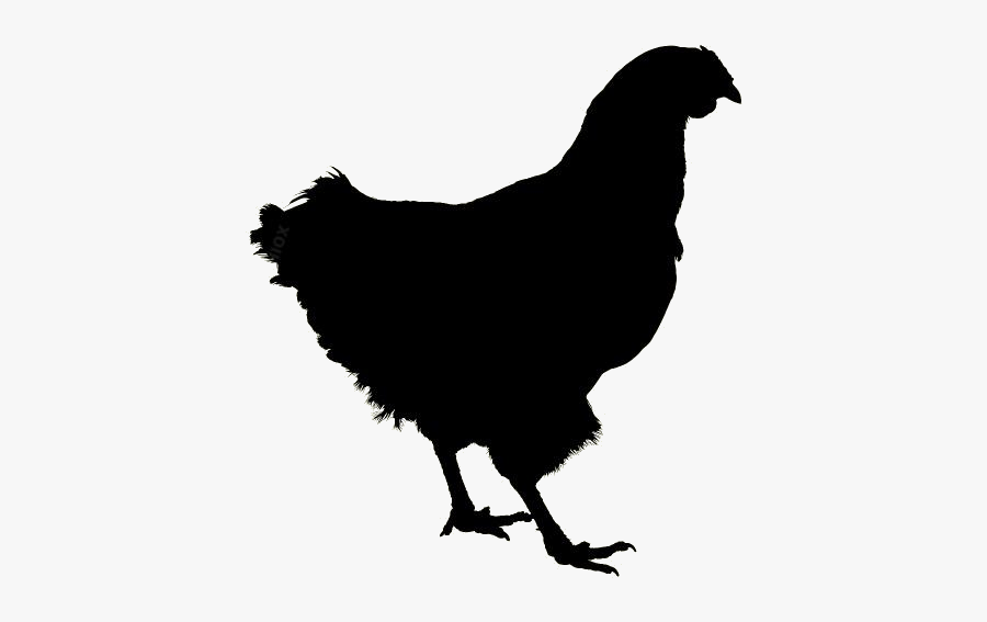 Simple Chicken Png Hd Image, Transparent Simple Chicken - Chicken Icon ...