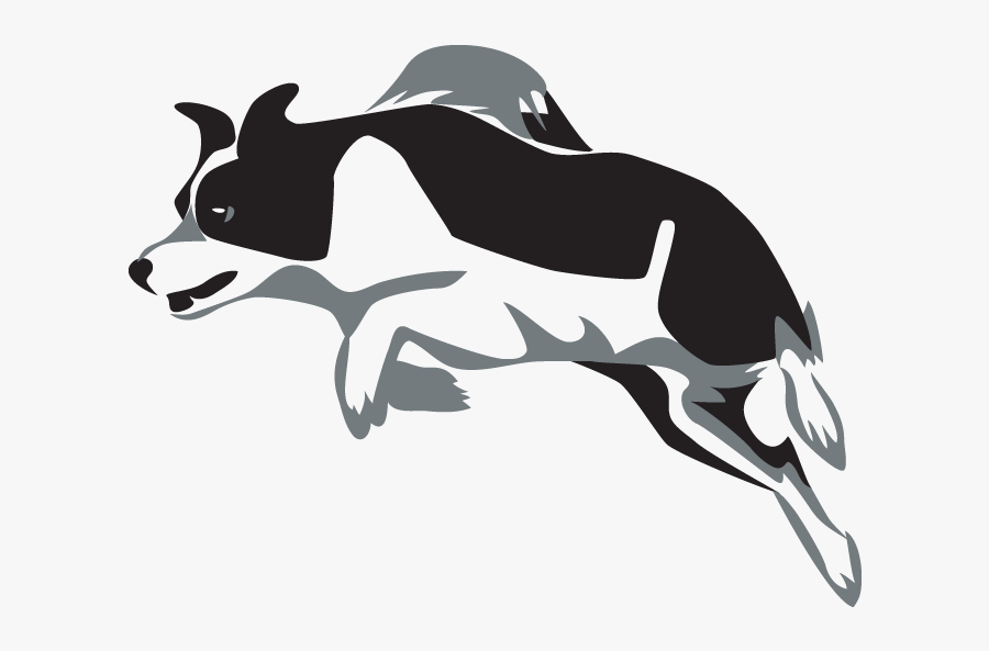 Clip Art Border Collie Jumping - Tekening Agility Border Collie , Free ...