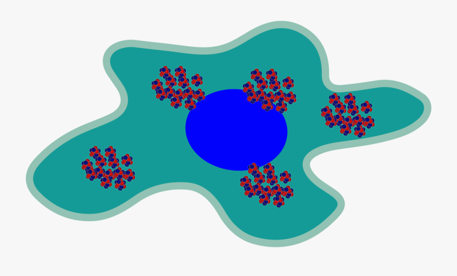 Clipart Cancer Cell Png , Free Transparent Clipart - ClipartKey