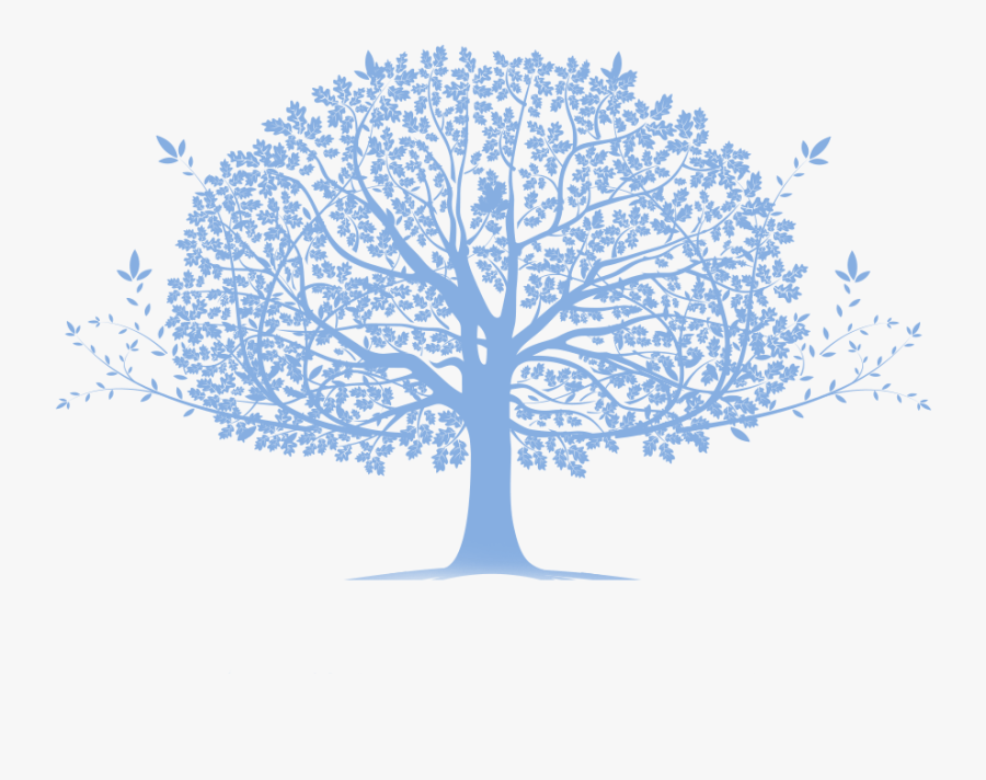 Family Tree Transparent Background , Free Transparent Clipart - ClipartKey