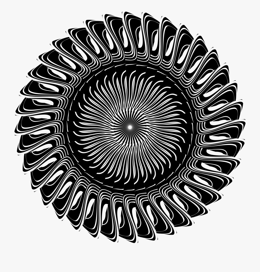 Clip Art Fancy Shape Clipart - Bracket Shape Png , Free Transparent ...