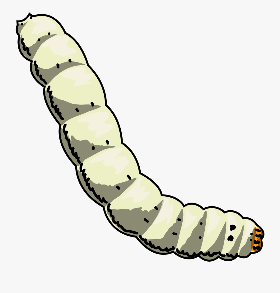 Witchetty Grub Png , Free Transparent Clipart - ClipartKey