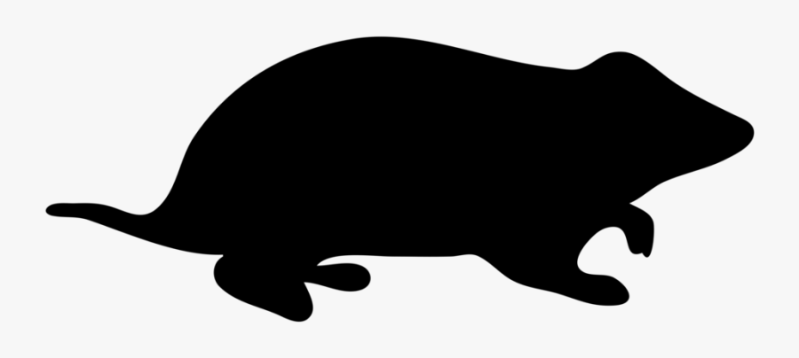 Hamster Contour - Hamster Silhouette , Free Transparent Clipart ...