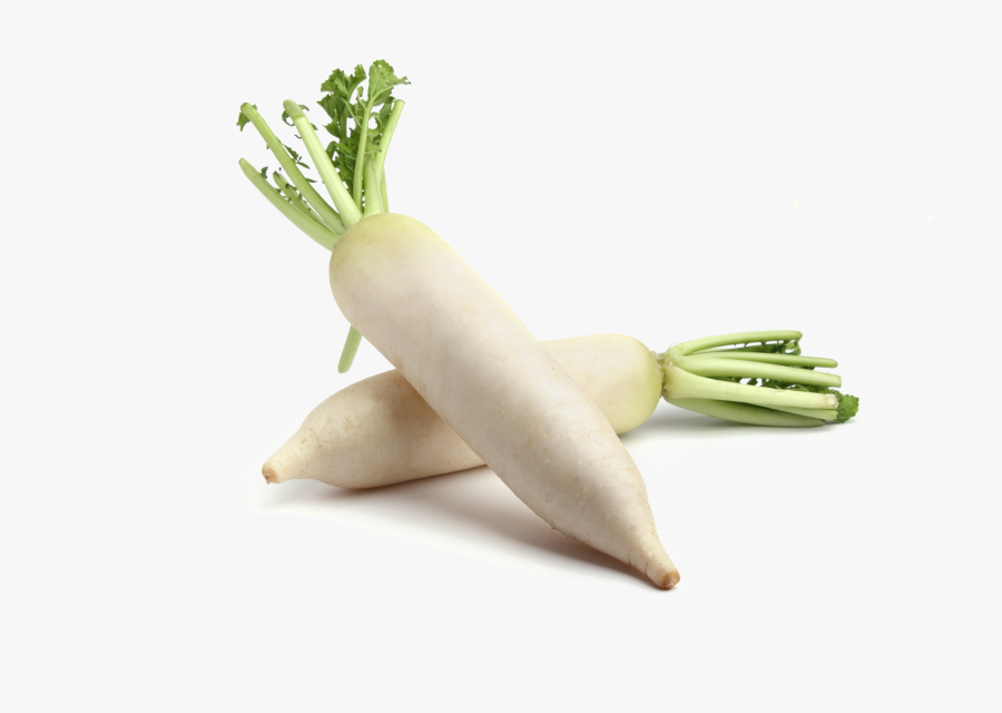 Mooli Png Photos Png Icon - Daikon Radish Png , Free Transparent ...