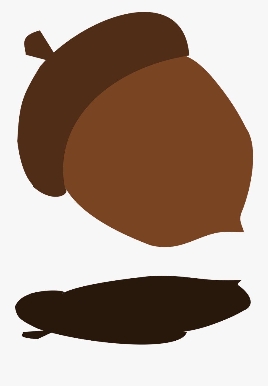 Fall Tree Acorn Shadow Falling Harvest Autumn - Acorn Falling From ...