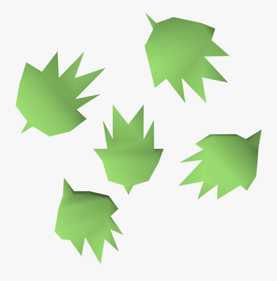 Transparent Maple Seed Clipart - Cactus Seed Clipart , Free Transparent ...