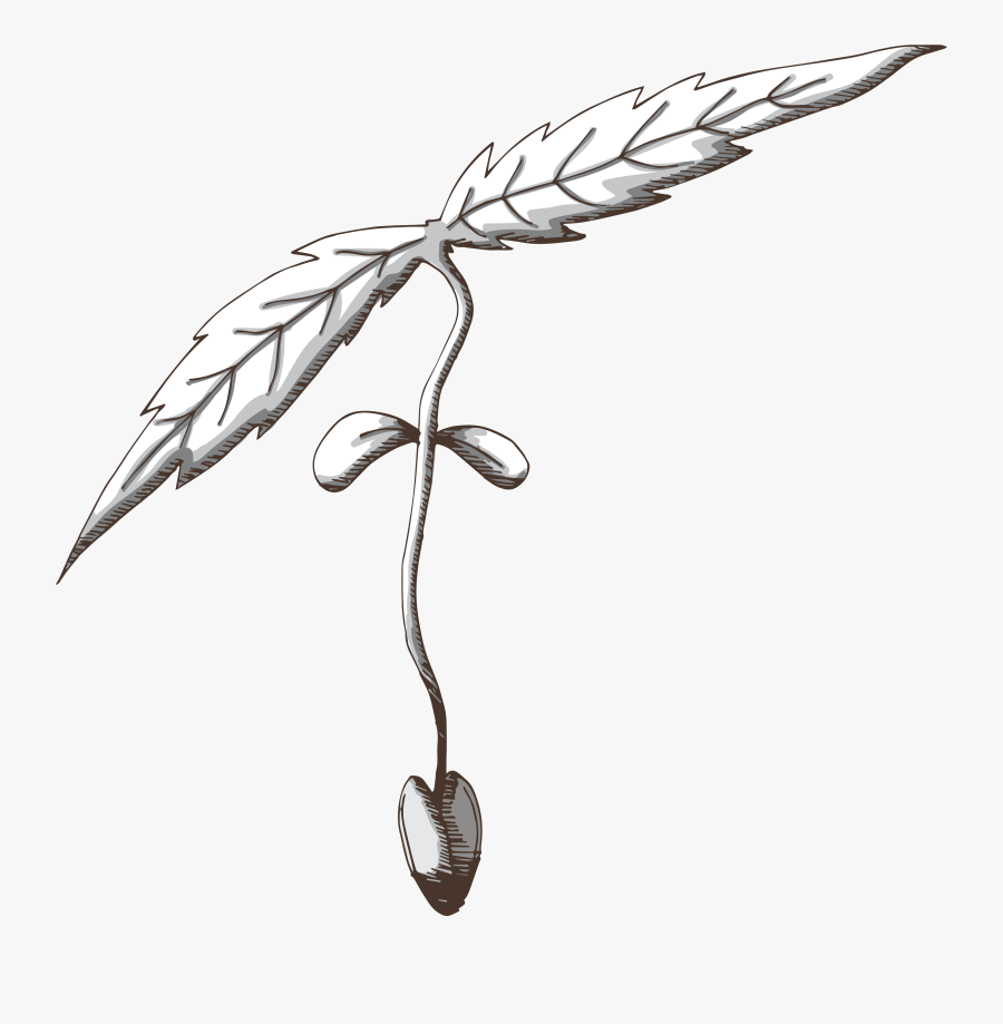 Full Size Of Easy Pictures To Draw And Paint For Beginners - Cannabis ...