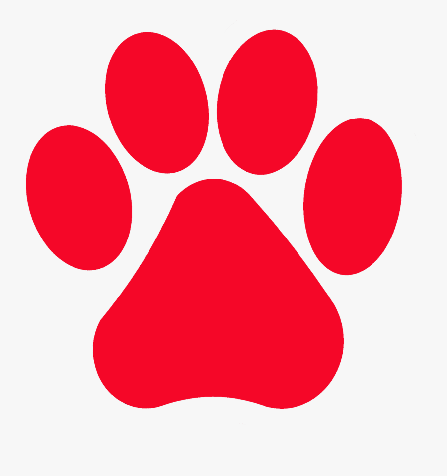 Class Policies And Rules - University Of South Alabama Paws , Free ...