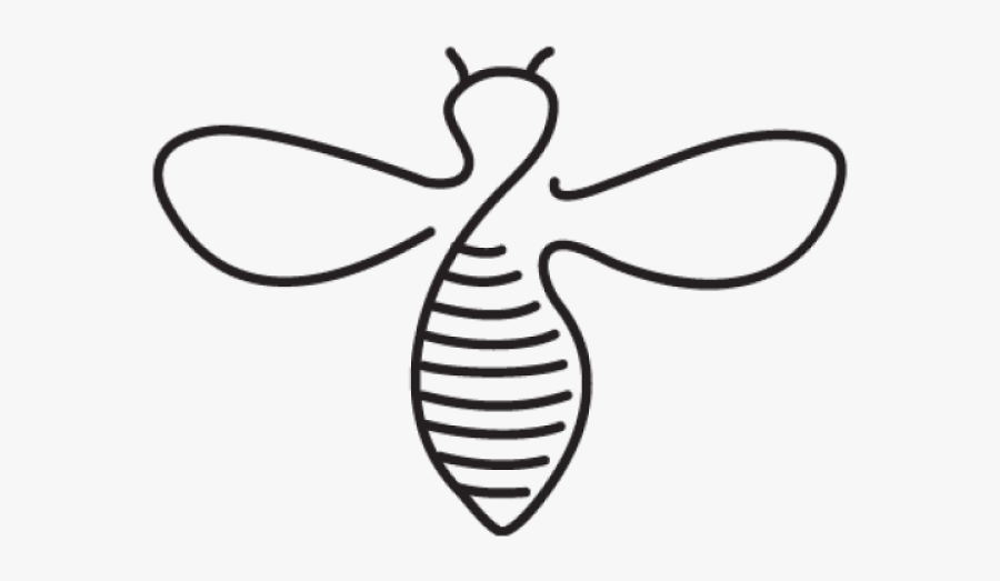 Bee Outline - Line Art Bee Png , Free Transparent Clipart - ClipartKey