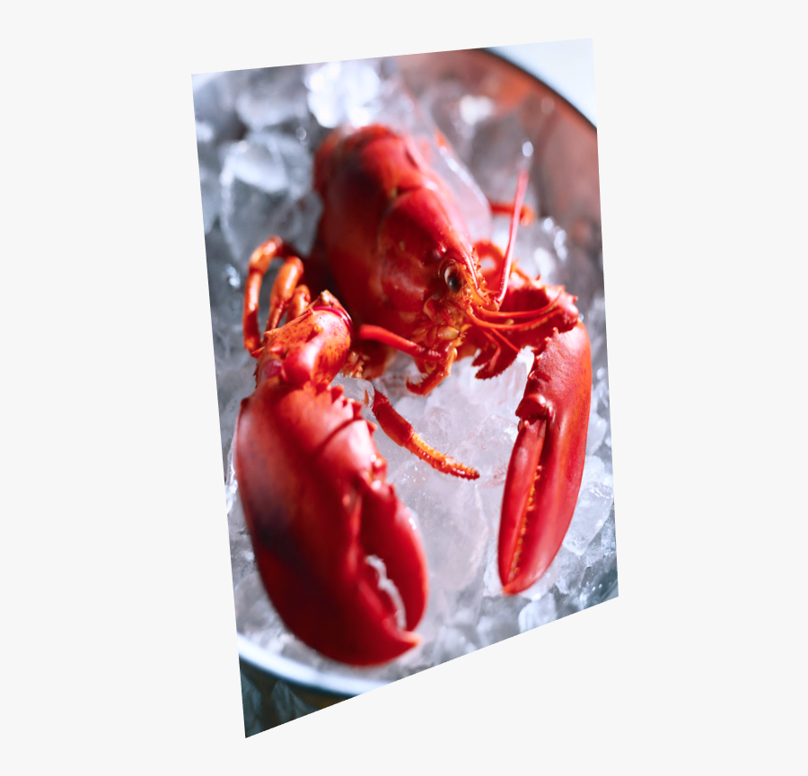 Red Mercury Element , Free Transparent Clipart - ClipartKey