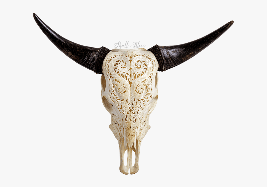 Transparent Bull Skull Png , Free Transparent Clipart - ClipartKey