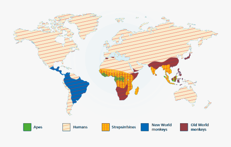 World Map Plain Blue , Free Transparent Clipart - ClipartKey