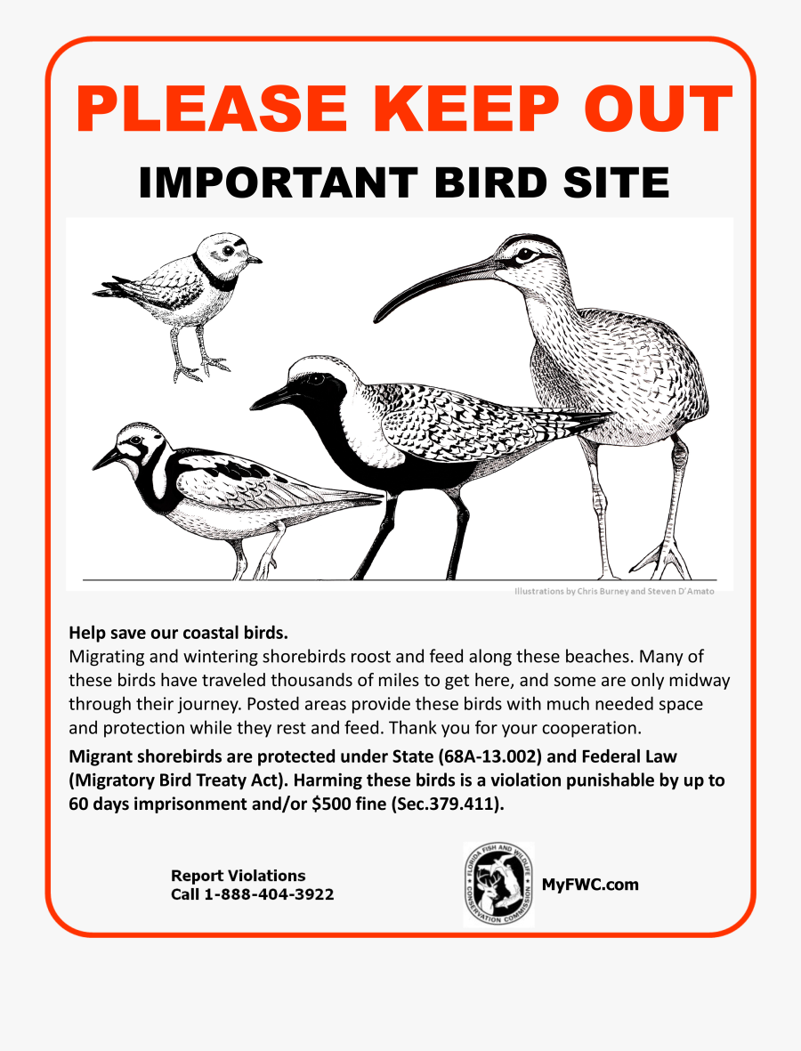 Shore Bird Protection Sign , Free Transparent Clipart - ClipartKey