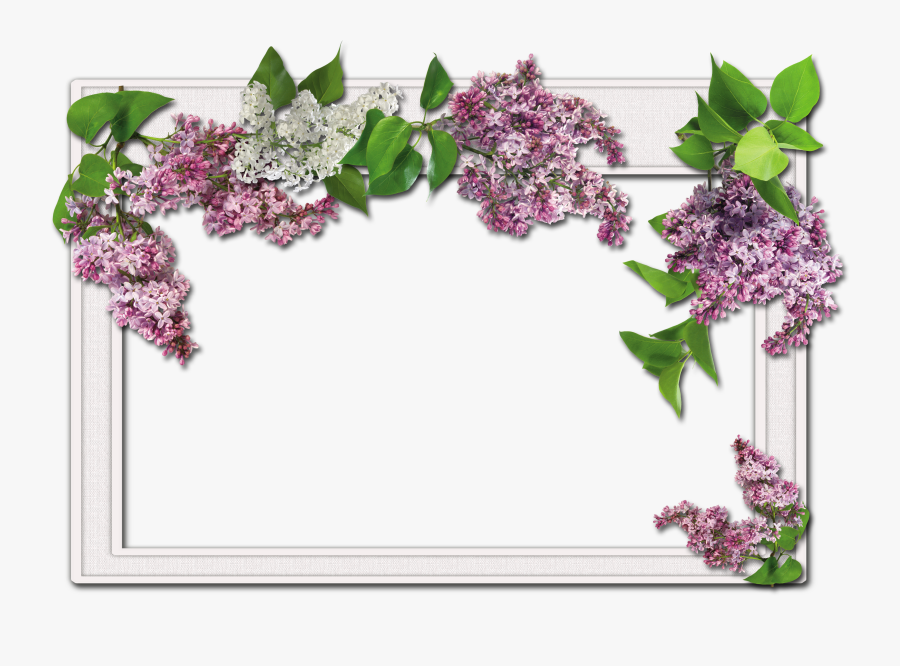 Lavender Clipart Name Tag Frame - Wedding Frames For Photoshop , Free ...