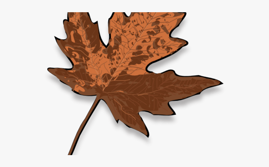 Maple Leaf Clipart Brown - Fall Leaves Clipart , Free Transparent ...