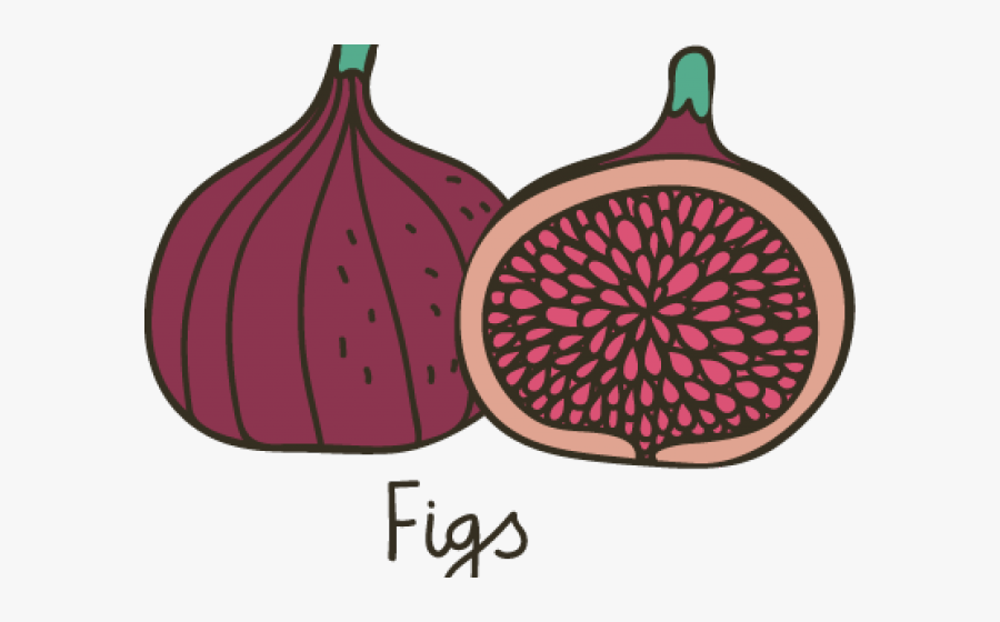Fig Clipart , Free Transparent Clipart - ClipartKey