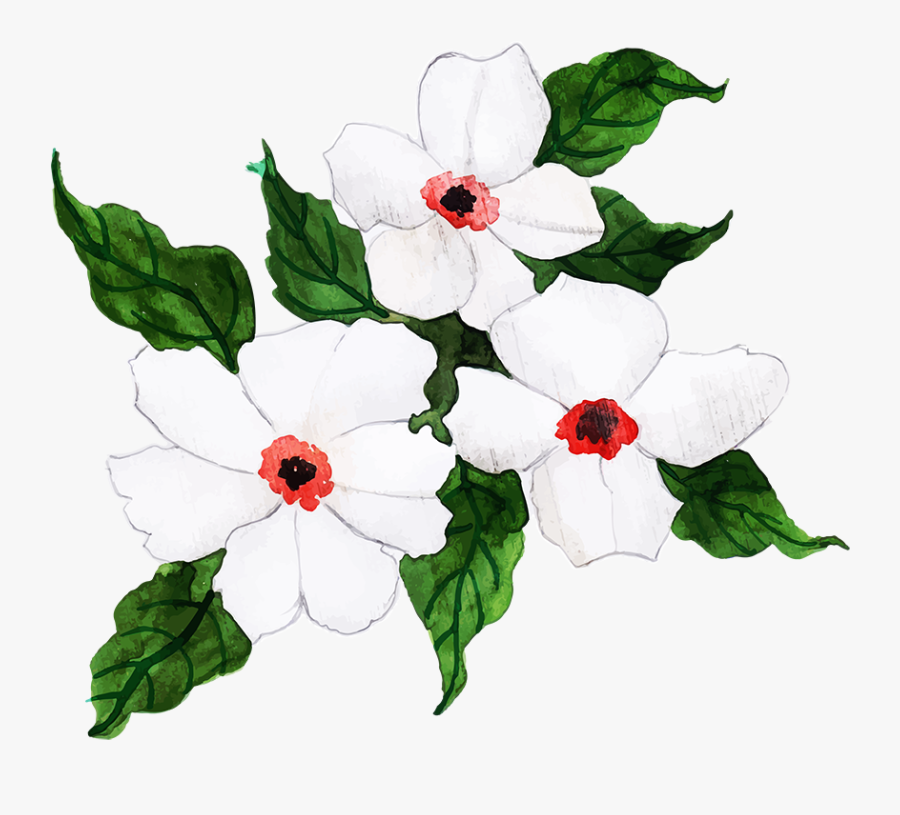 Periwinkle , Free Transparent Clipart - ClipartKey