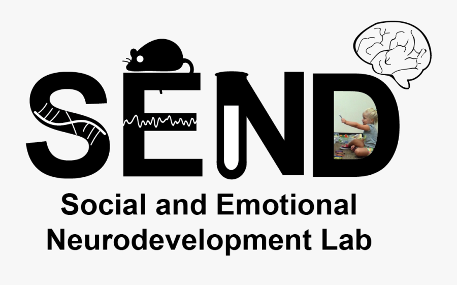 Social And Emotional Neurodevelopment Lab - Graphic Design , Free ...