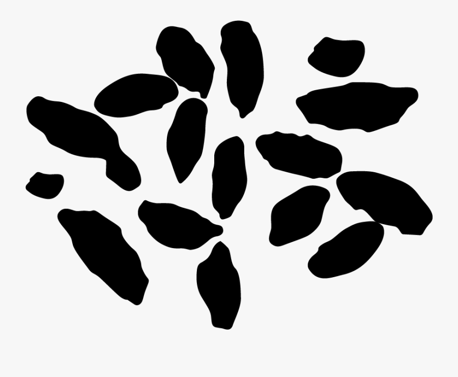 Rat Scat Rat Feces - Illustration , Free Transparent Clipart - ClipartKey