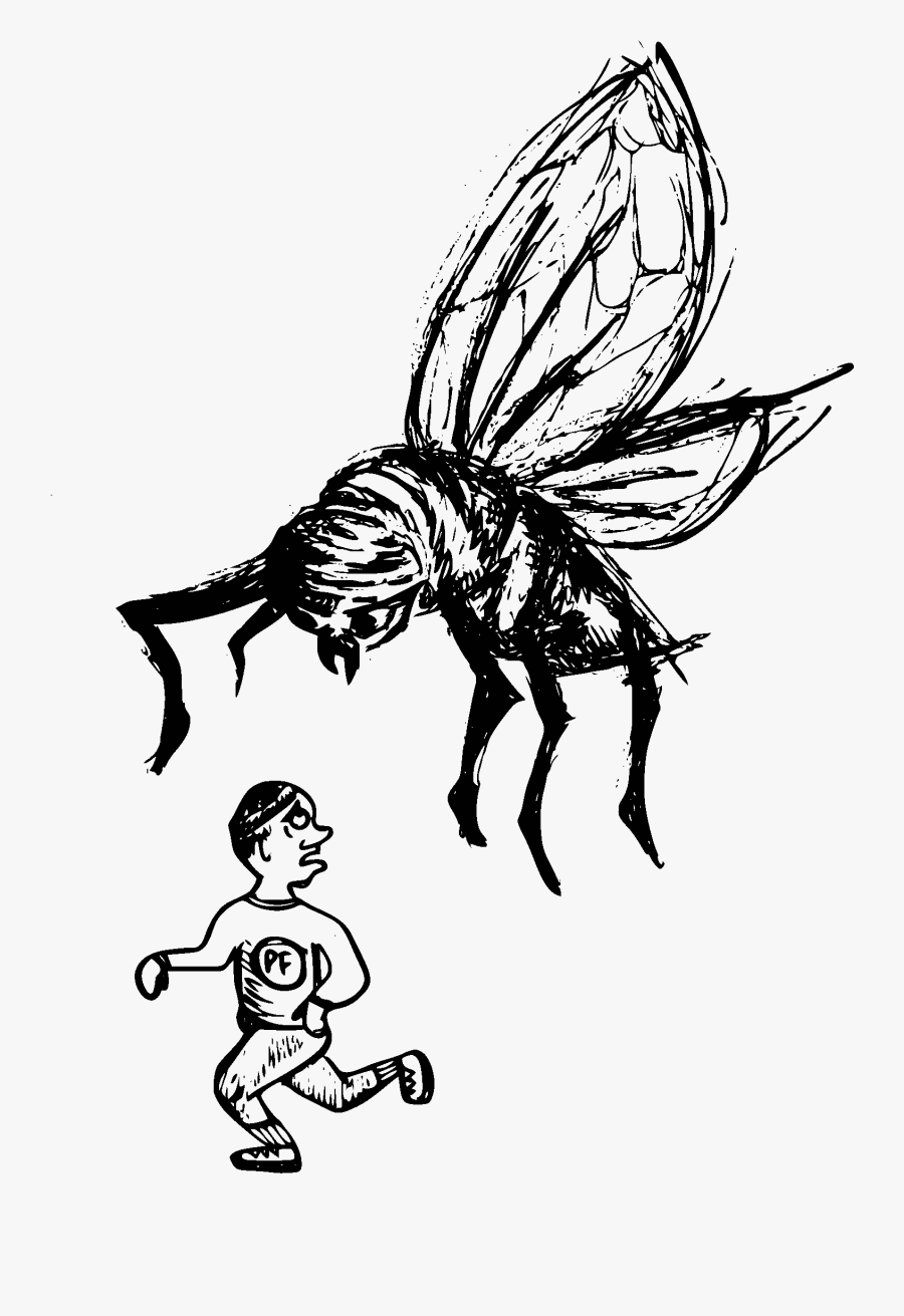 Transparent Flies Png - Illustration , Free Transparent Clipart ...