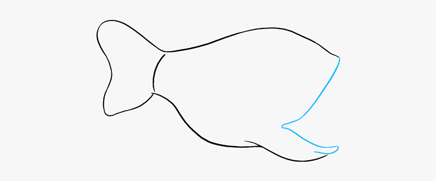 How To Draw Angler Fish - Flatfish , Free Transparent Clipart - ClipartKey