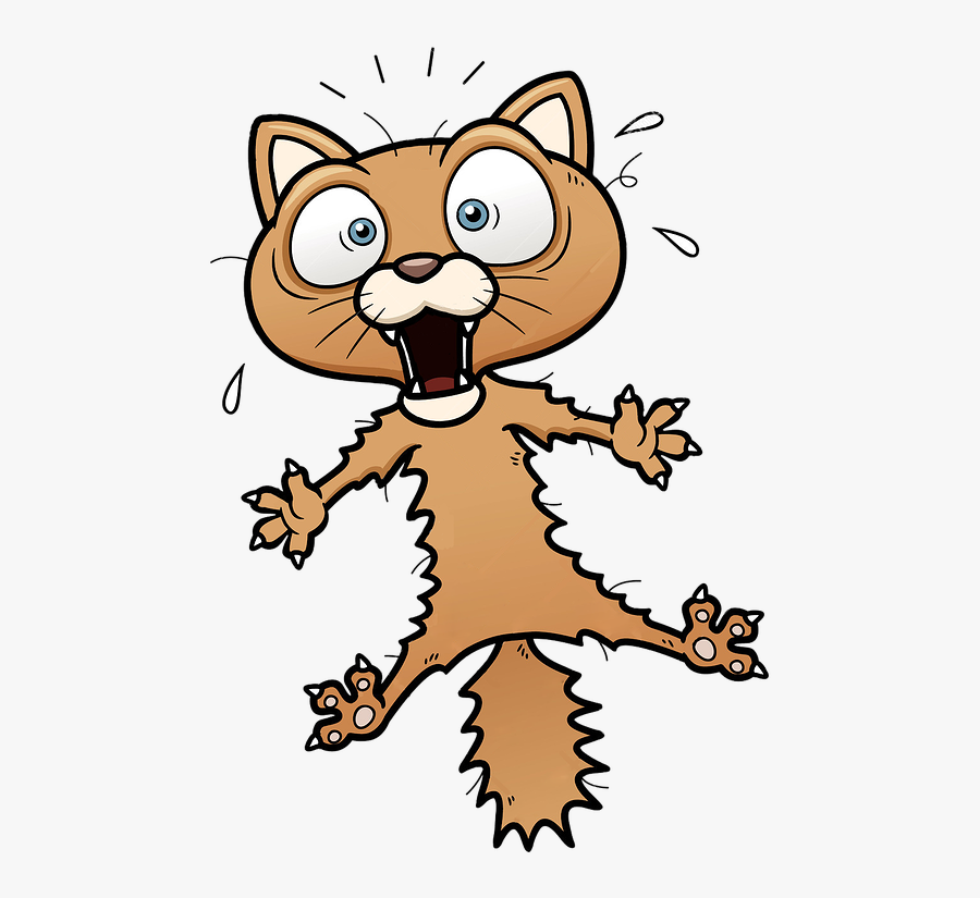 Fraidy Google Search Cowardice - Scared Cat Clip Art , Free Transparent ...