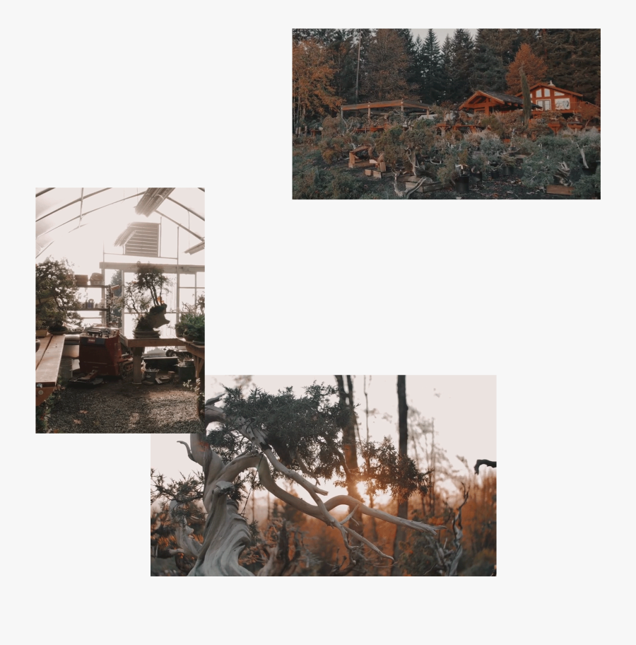 Collage , Free Transparent Clipart - ClipartKey