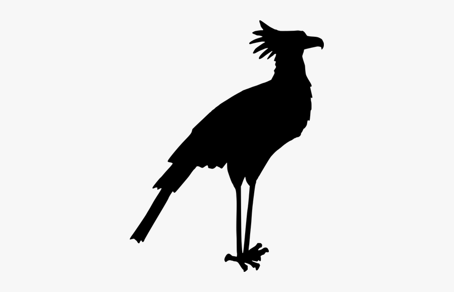 Secretary Bird Silhouette Vector Image - Bird Silhouette Art , Free ...