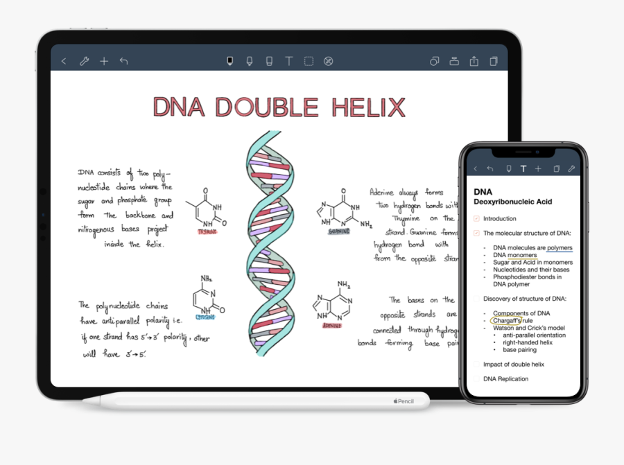 Noteshelf App , Free Transparent Clipart - ClipartKey