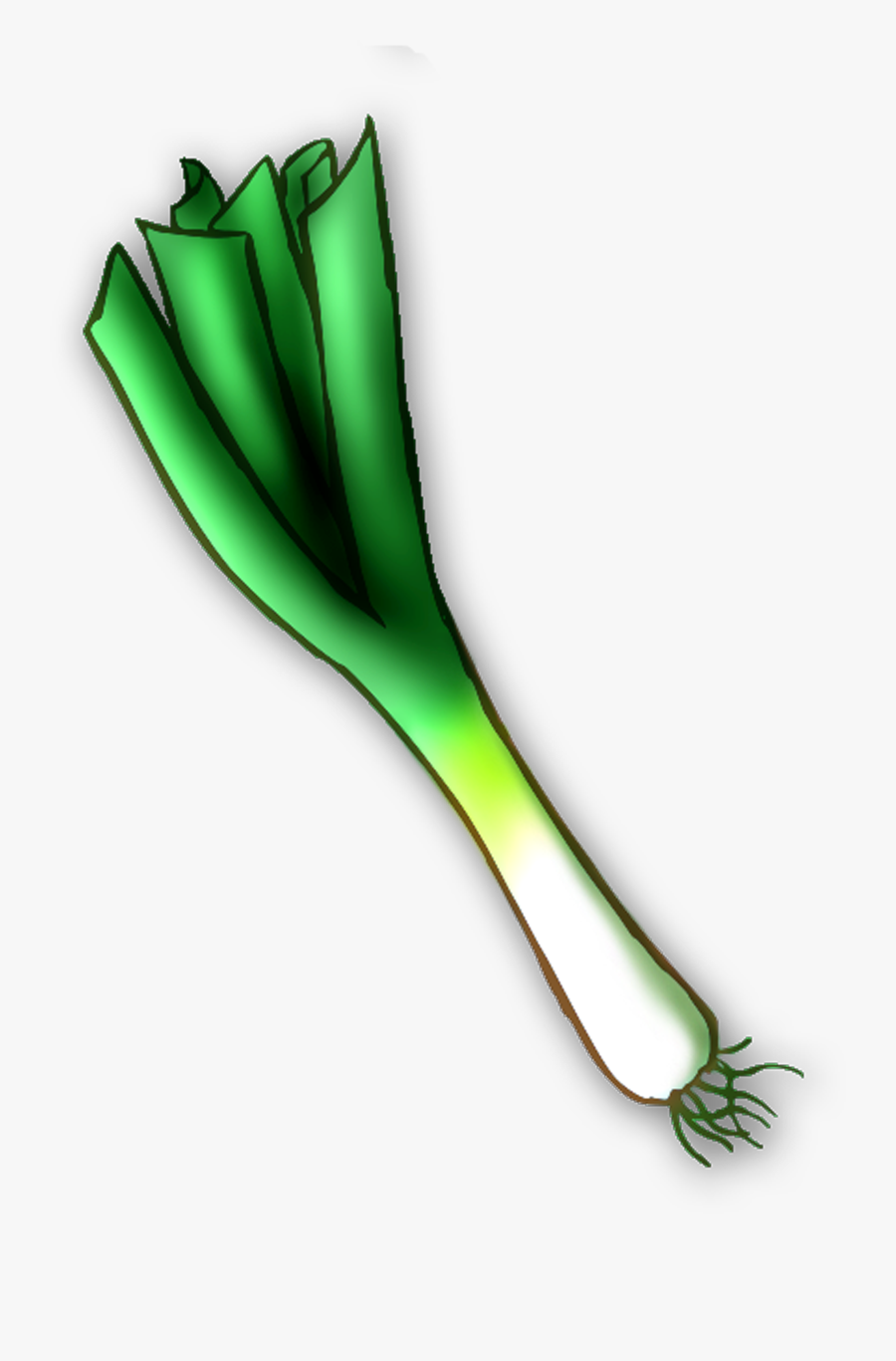 Clip Art Leek - Leek Png , Free Transparent Clipart - ClipartKey