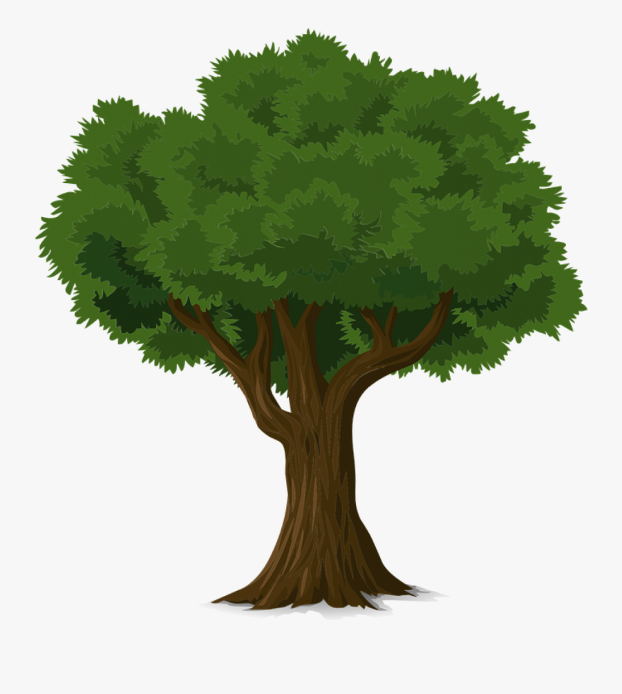 Summer Tree Clip Art , Free Transparent Clipart - ClipartKey