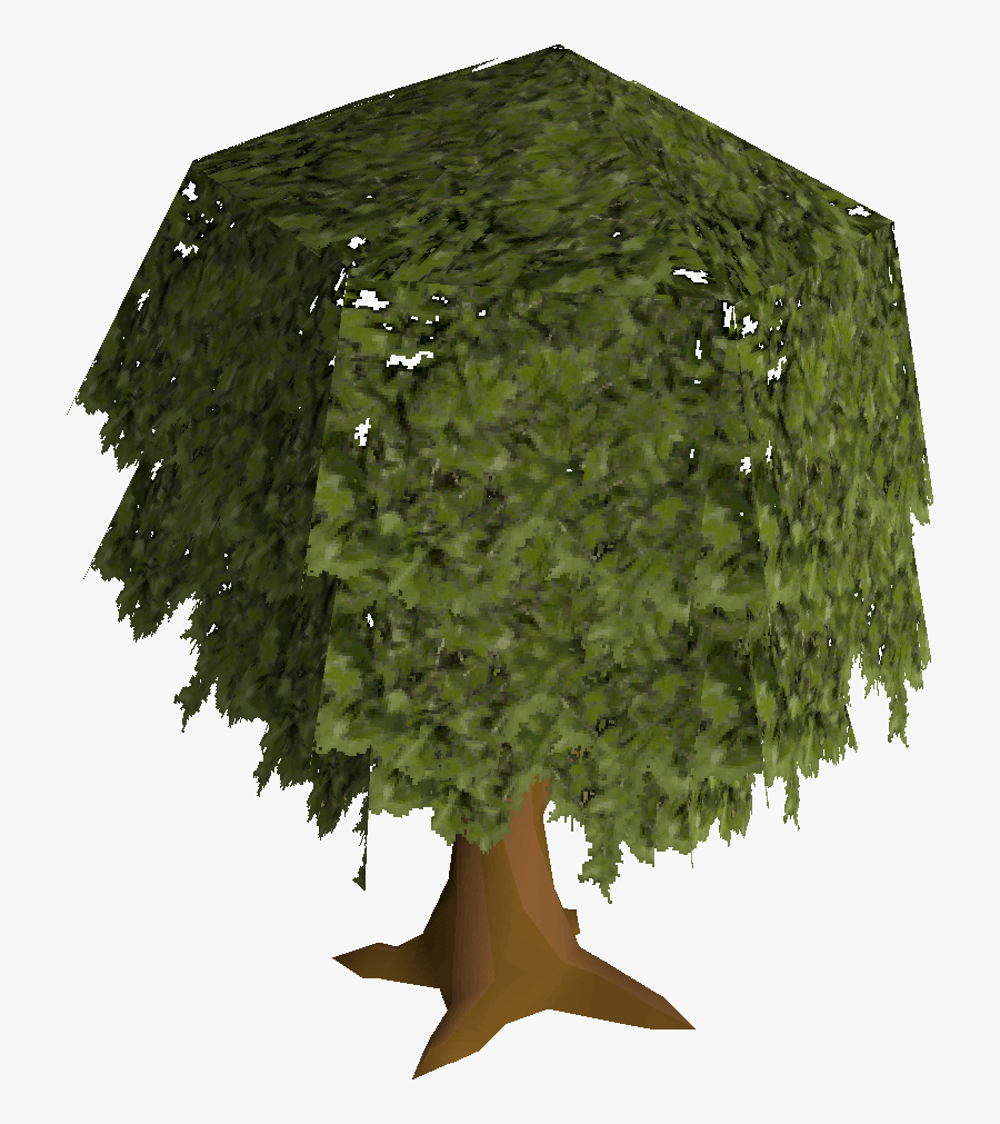 Transparent Shade Tree Clipart - Tree , Free Transparent Clipart ...