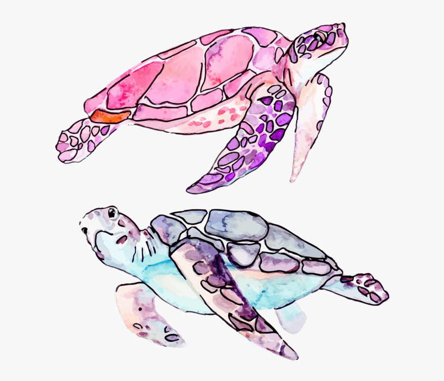 Turtle Clip Art Vector Graphics Royalty-free Illustration - Sea Turtle ...
