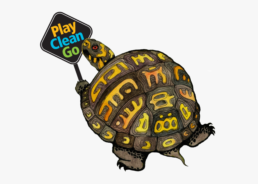 Turtle Clipart Box Turtle - Play Clean Go , Free Transparent Clipart ...