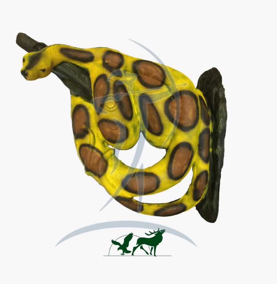 Leitold 3d-target Boa Constrictor Light Green - Illustration , Free ...