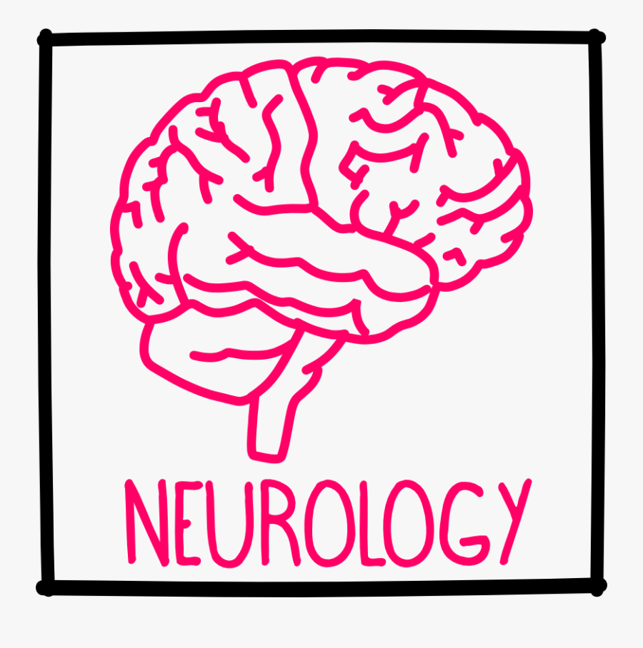 Neurology Clipart , Free Transparent Clipart - ClipartKey