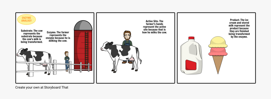 Storyboard Analogy For Enzyme , Free Transparent Clipart - ClipartKey