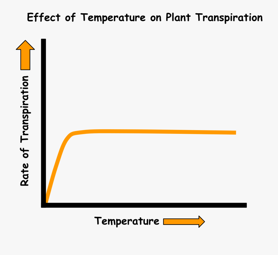 Transpiration Rate