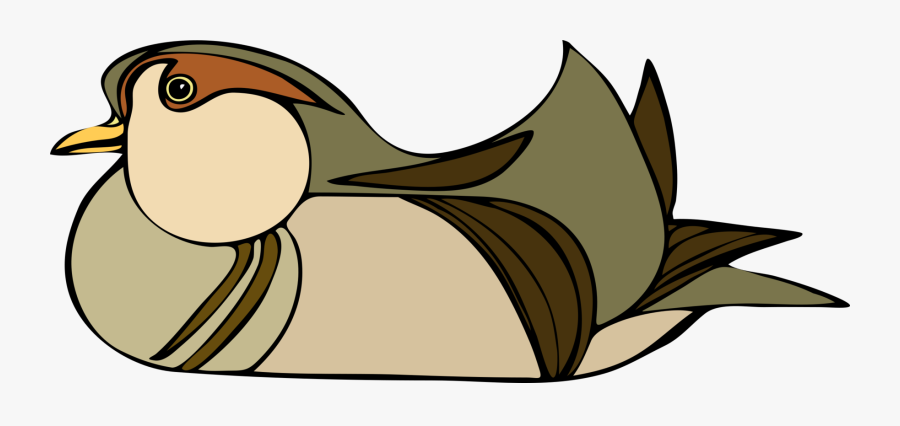 Duck,flightless Bird,wildlife - Clip Art , Free Transparent Clipart ...