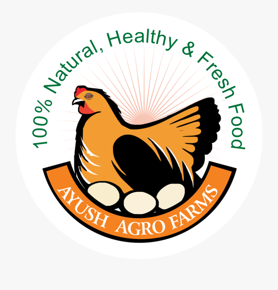 We Produce Pasture Raised Free-range Eggs And Free - Free Range Eggs ...