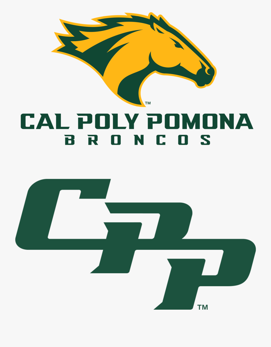 Broncos Vector Stencil - Cal Poly Pomona Broncos , Free Transparent ...