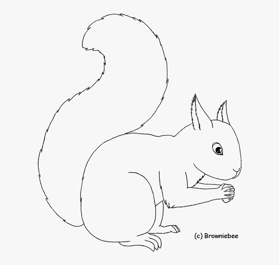 Squirrel Lineart Outline Outline Images Of Squirrel Free 