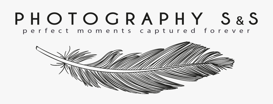 Png Logo For Photography - Photography Text Logo Png , Free Transparent ...