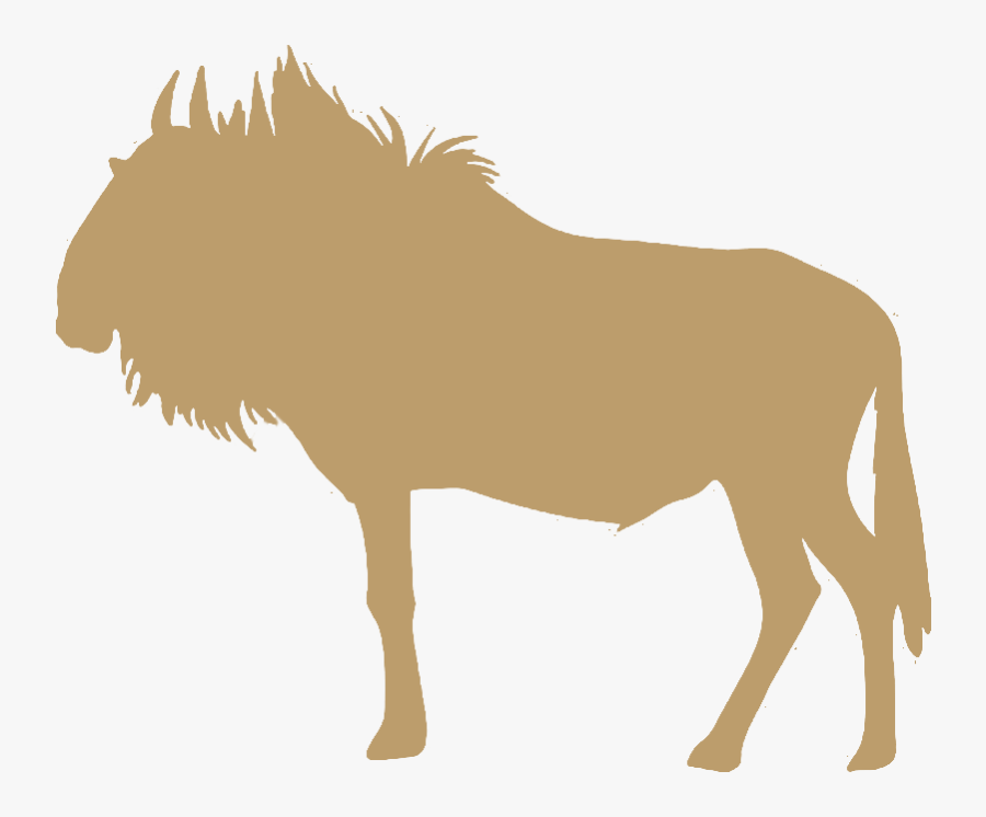 Mane , Free Transparent Clipart - ClipartKey