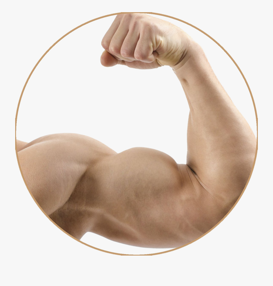 Strong Muscle Arm Png Transparent Image - Strong Muscle Arm , Free ...