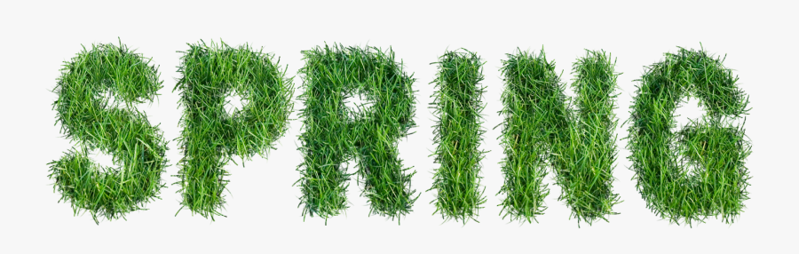 Spring With Grass Text - Spring Text Png , Free Transparent Clipart ...