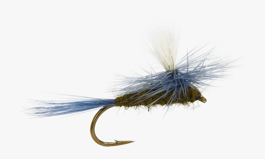Dry Emergers For The - Fishing Fly Flies Transparent , Free Transparent ...
