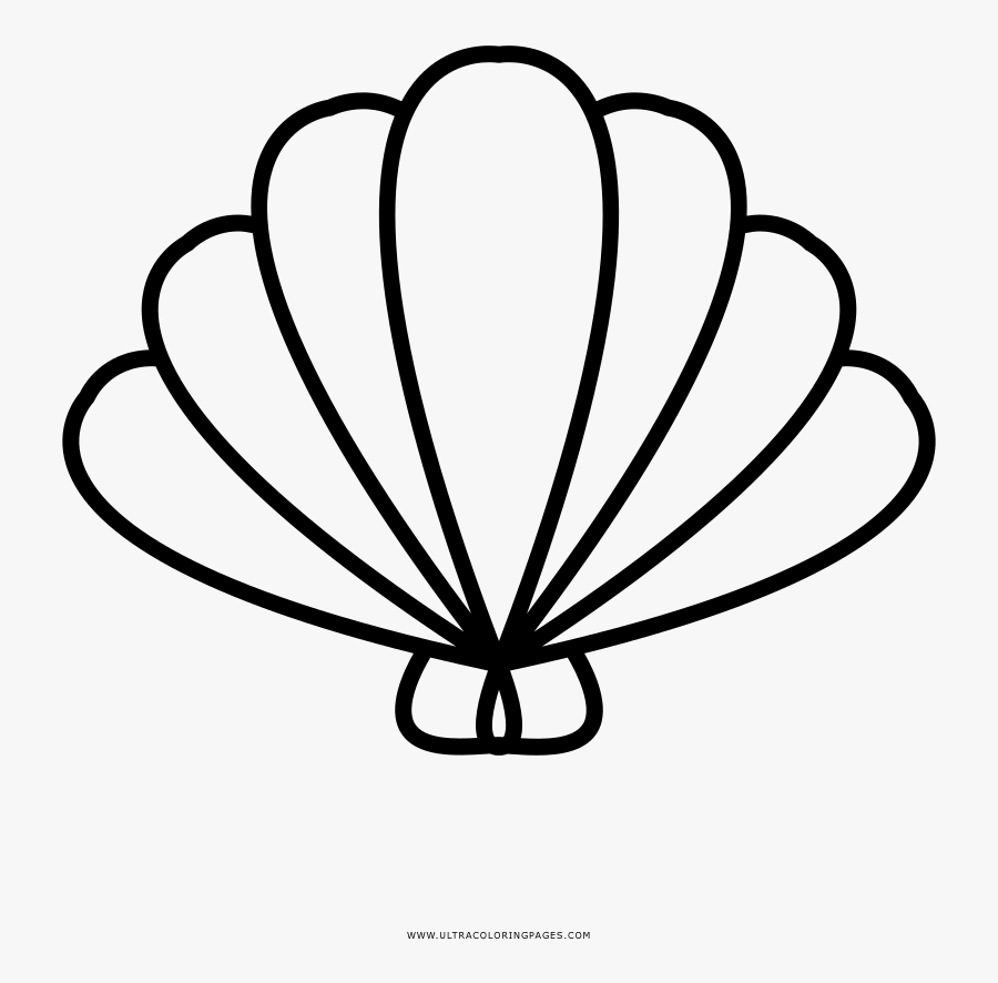 Clip Art Do Mar Para Colorir - Concha De Mar Para Colorear , Free ...