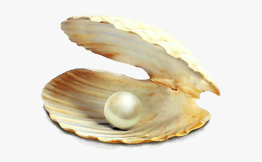 Concha Sticker By Alineperfeitinha - Clam With Pearl Png , Free ...