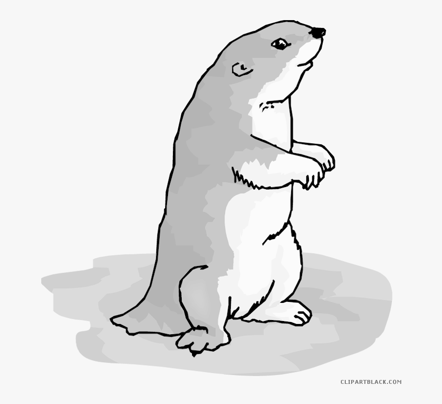 Transparent Dog Clipart Black And White Png - Outline Of A Gopher ...